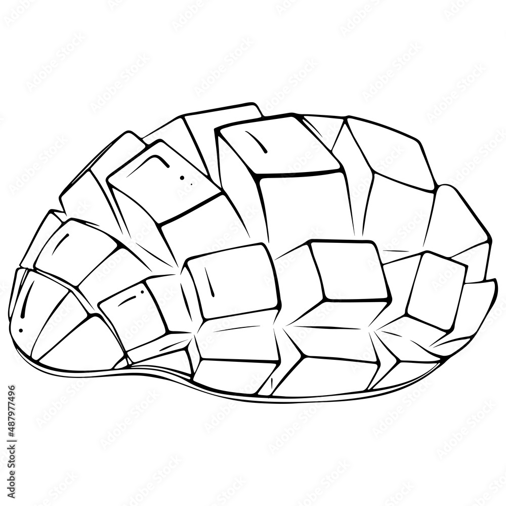 Chopped half mango. Vector illustrations in hand drawn sketch doodle ...