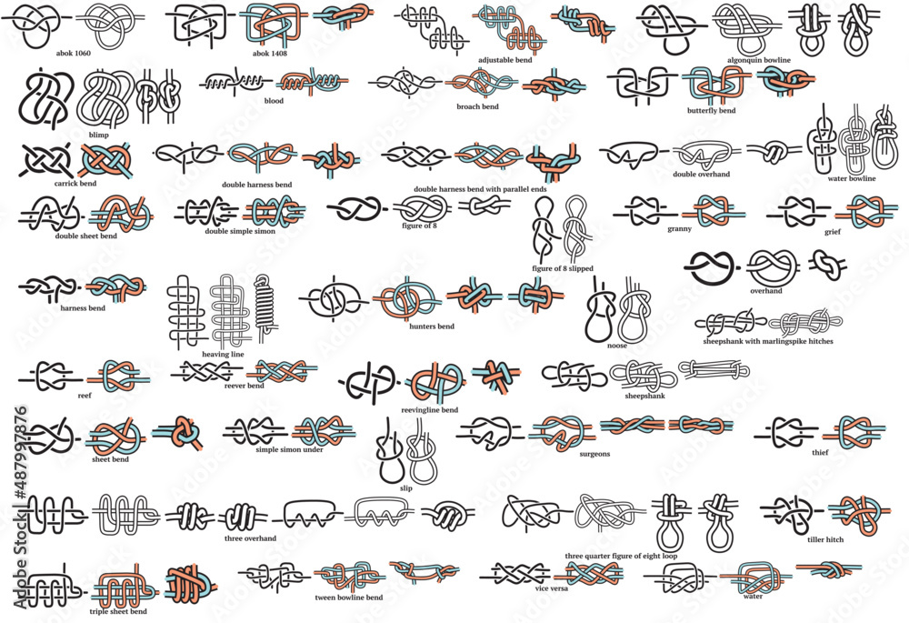 Set of rope knots with names. Isolated vector illustration on white ...