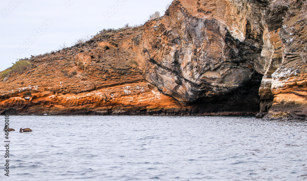Steep cliffs reveal the volcanic geology of Caleta Tagus on isabela ...