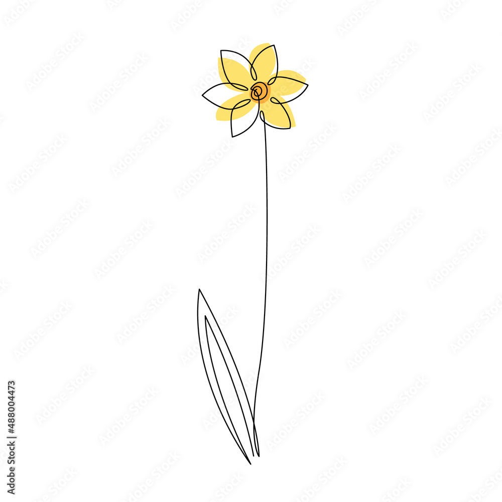 Daffodil flower in continuous line drawing style. Black line sketch on ...