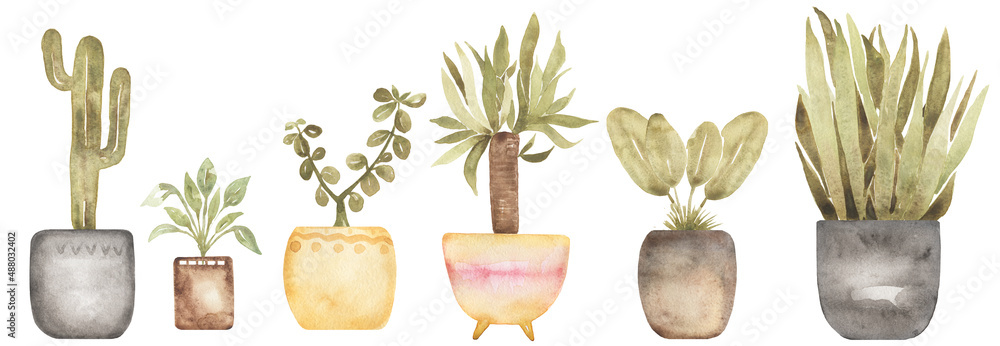 Boho indoor plant clipart. Watercolor modern home decor illustration ...