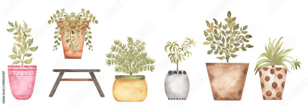 Boho indoor plant clipart. Watercolor modern home decor illustration ...