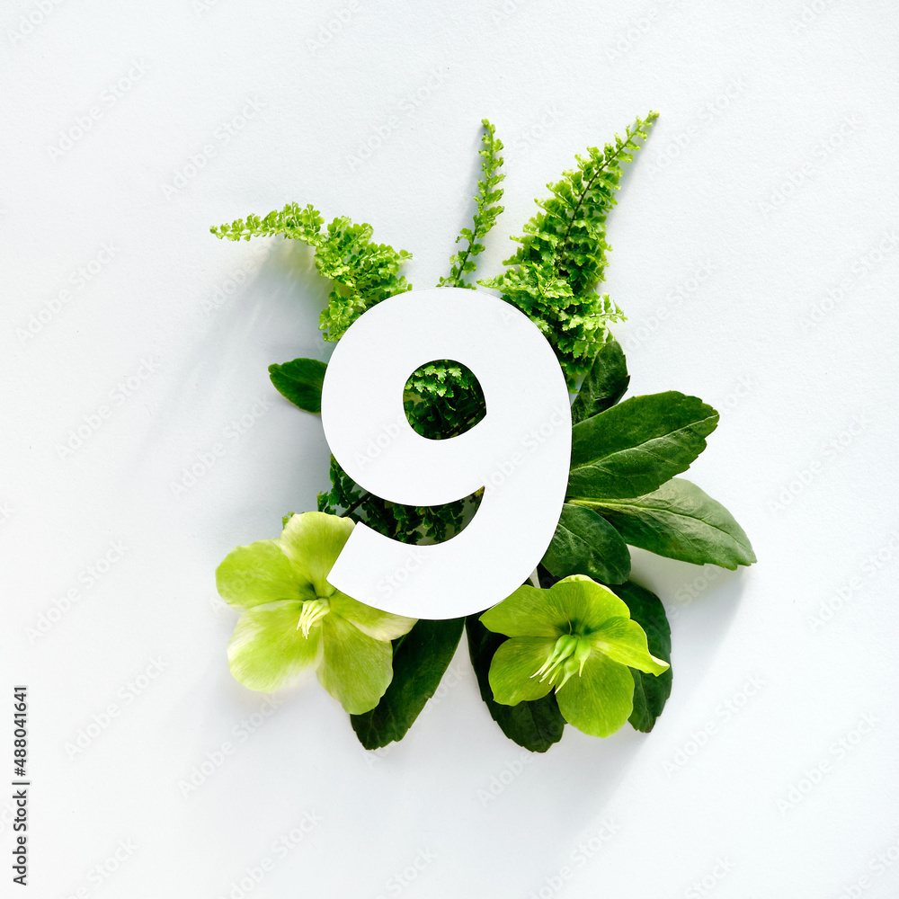 Number nine cut out of white paper. White and green helleborus winter ...