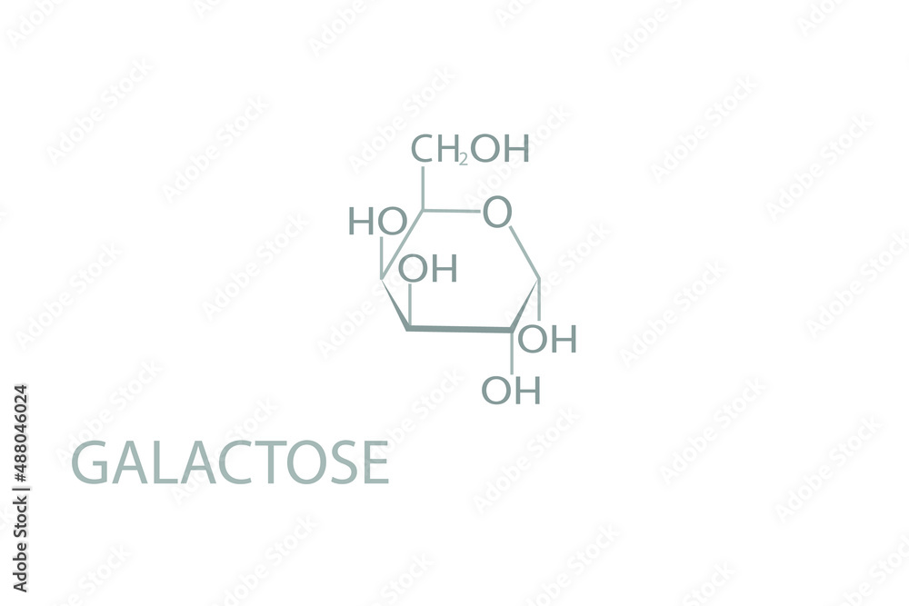 Galactose molecular skeletal chemical formula. Stock Vector | Adobe Stock