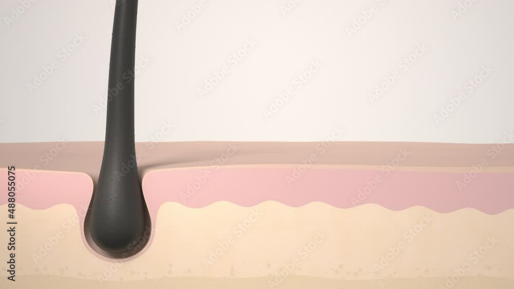 Vídeo do Stock: Care, restoration and nutrition of damaged hair ...