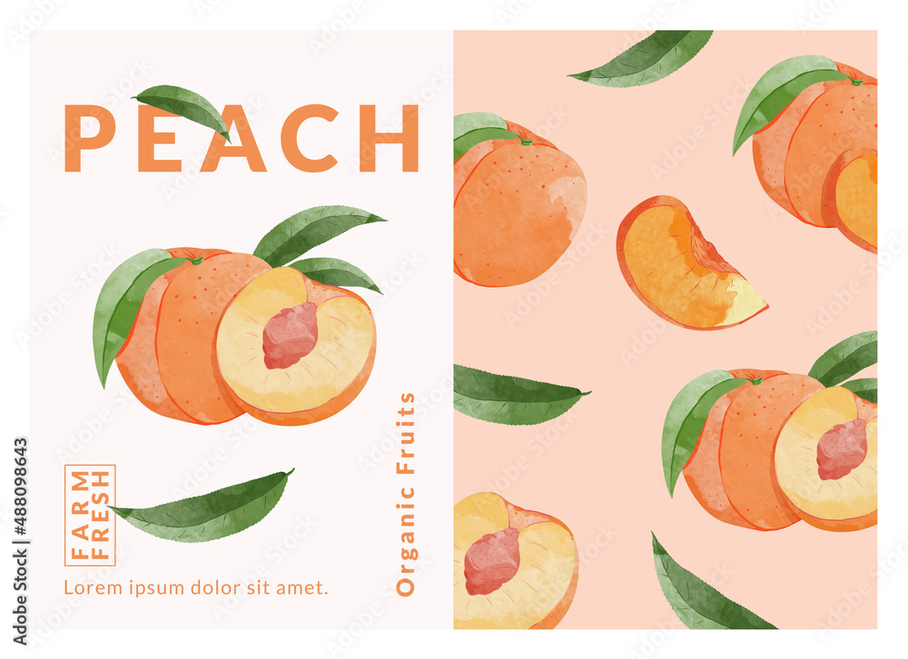 Peach packaging design templates, watercolour style vector illustration ...