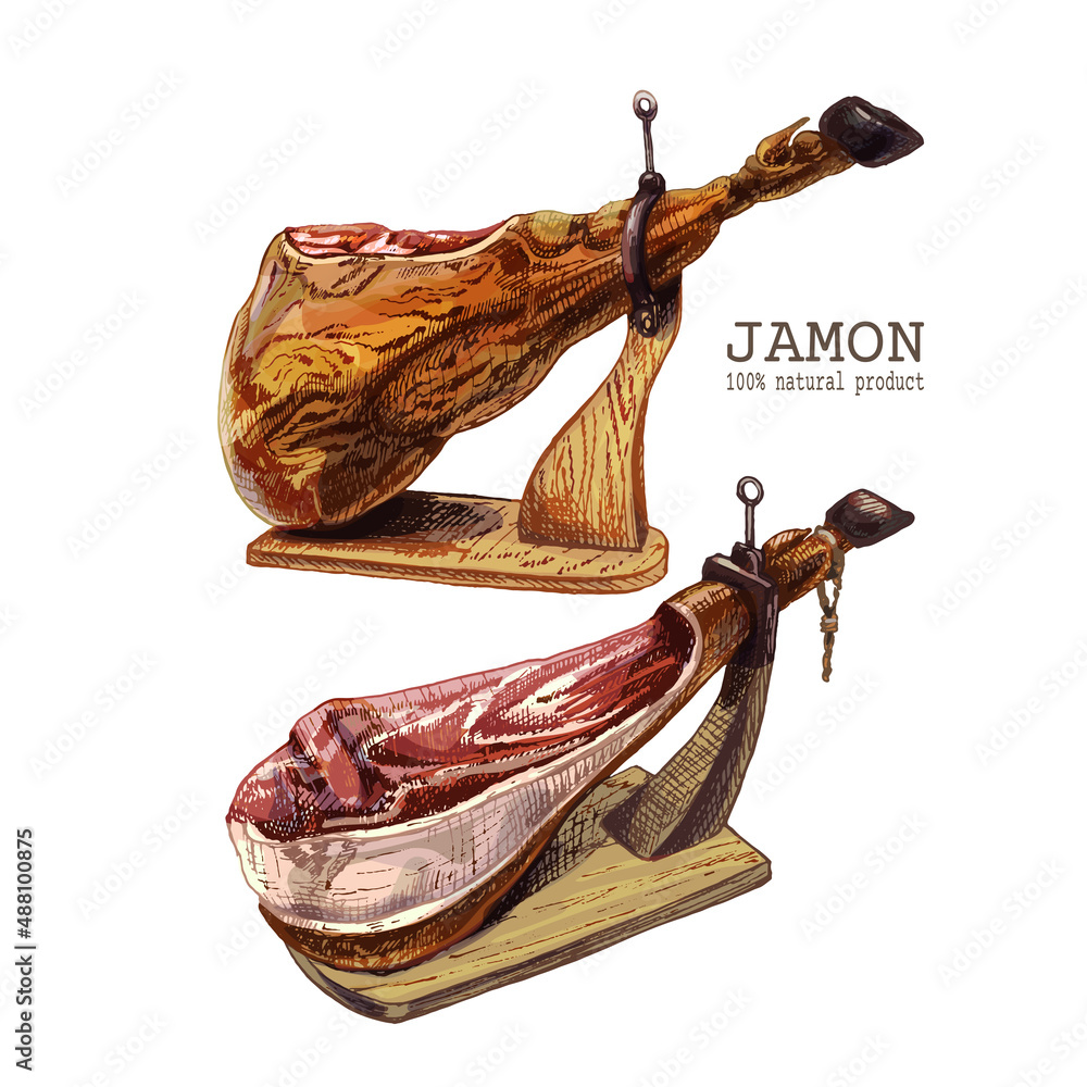 361_jamon_Spanish jamon, traditional jerky, pork, ham sketch, wooden ...