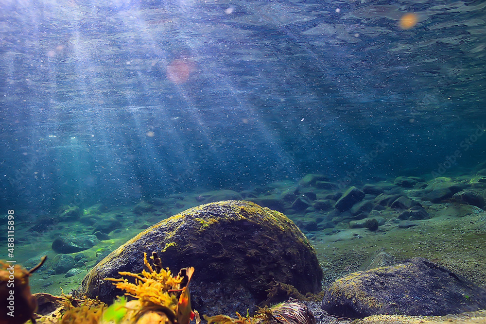 underwater fresh water landscape, mountain lake ecosystem background in ...
