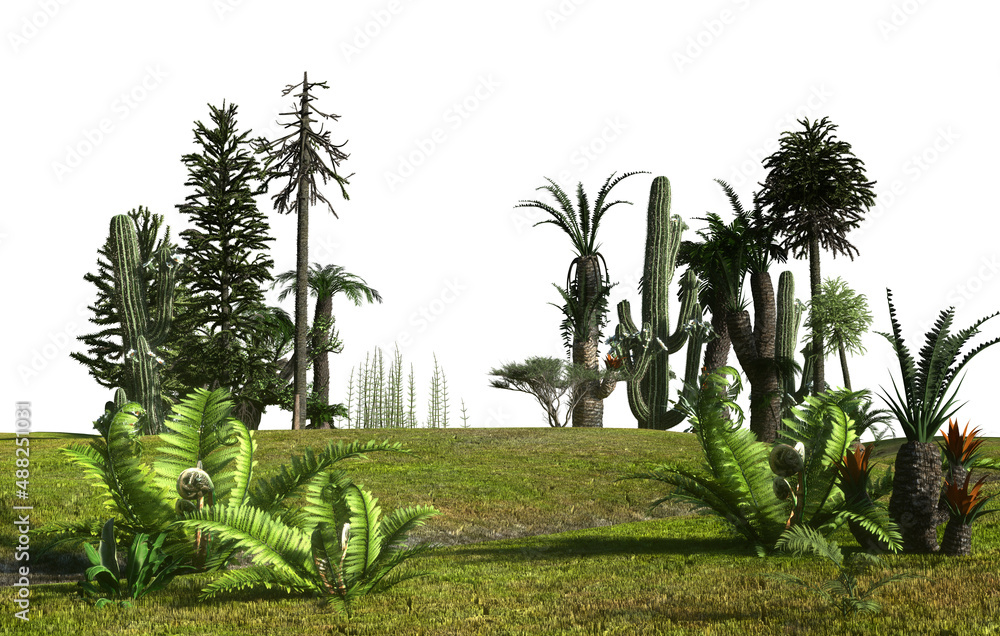 prehistoric forest Mesozoic era background render 3d on a white ...