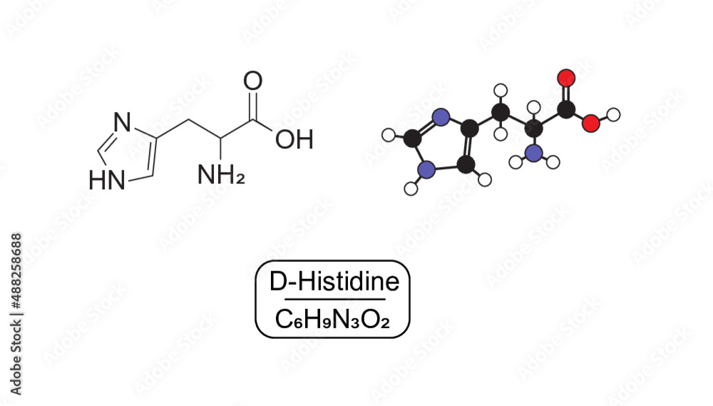 Amino Acid Histidine Molecule Stock Vector | Adobe Stock