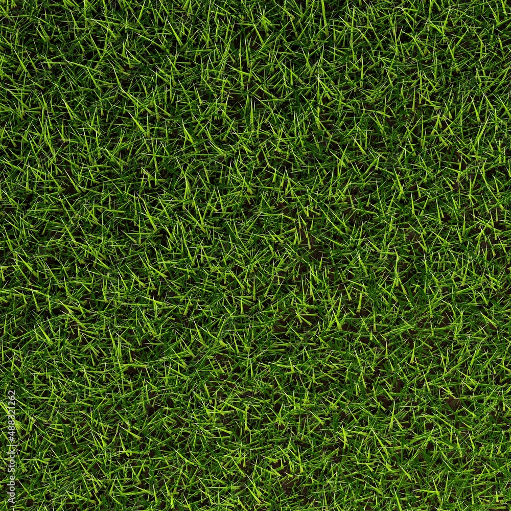 Green Grass Texture Top View Flat Lay From Above Spring Or Gardening Concept Background Stock
