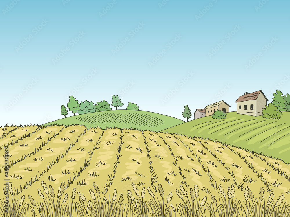 Field graphic color landscape sketch illustration vector Stock Vector ...