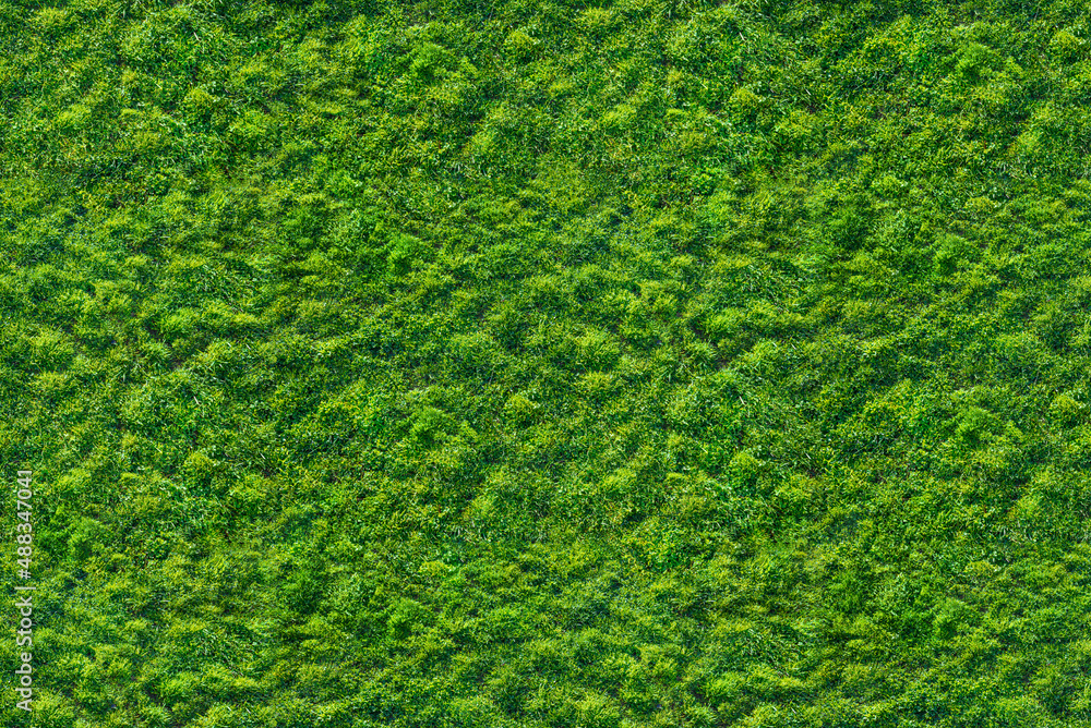 seamless green grass texture pattern Stock Photo | Adobe Stock
