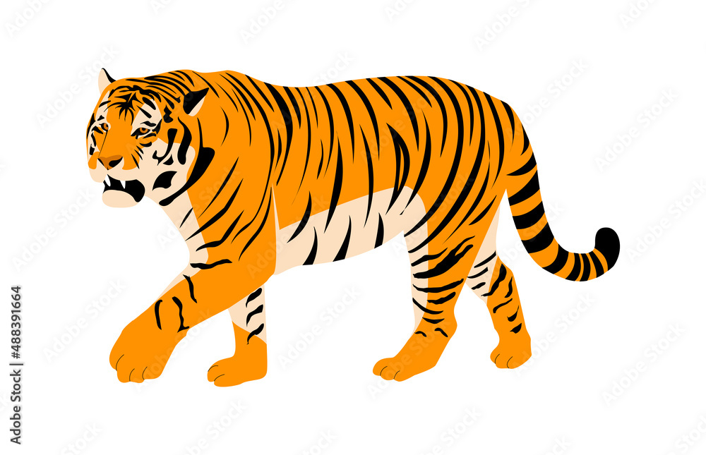 Tiger on a white background. Isolated. Vector flat illustration Stock ...