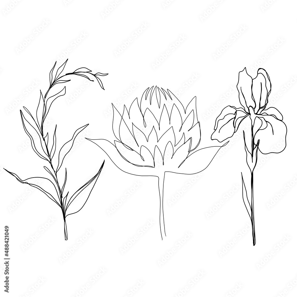 line art drawing of flowers. big set of line art of flowers and plants ...