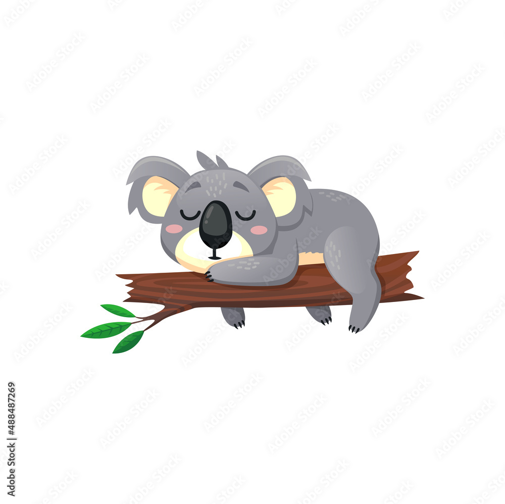 Sleeping koala bear lying on eucalyptus branch isolated funny cartoon ...