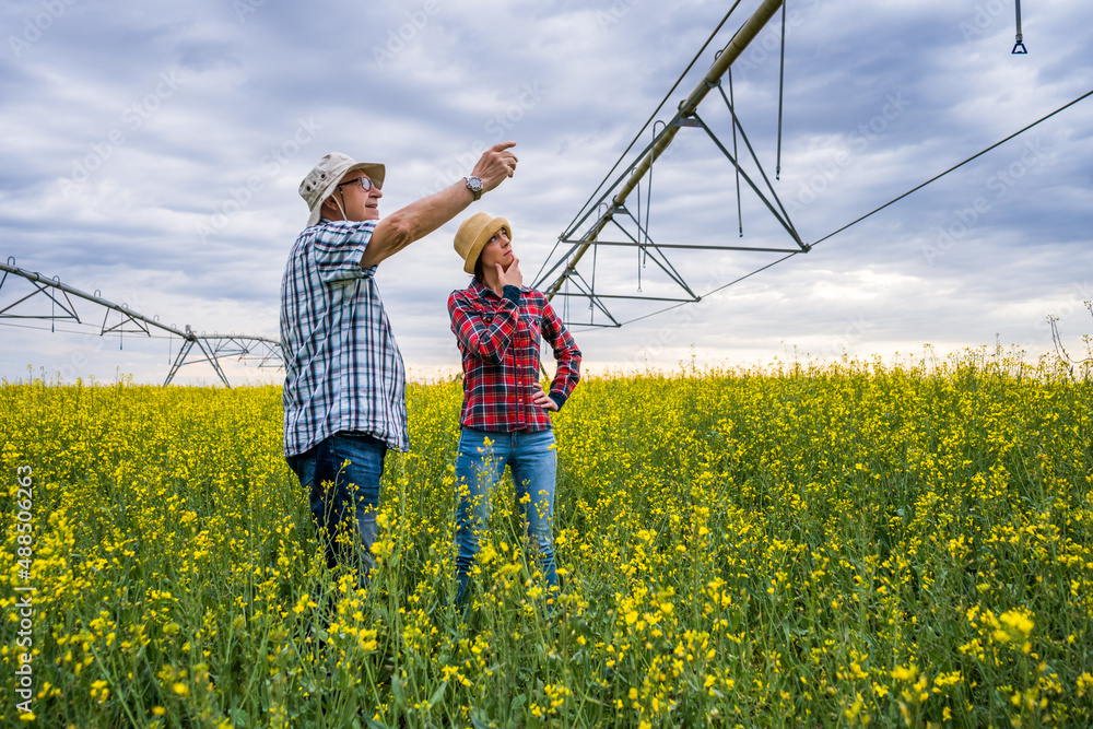 Two generations farmers are standing in their rapeseed field. Senior ...