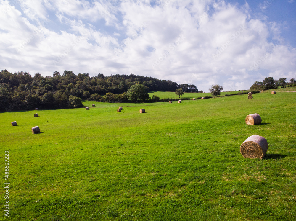 Vue aérienne de bottes de foin dans un champ. Des meules de foin dans ...