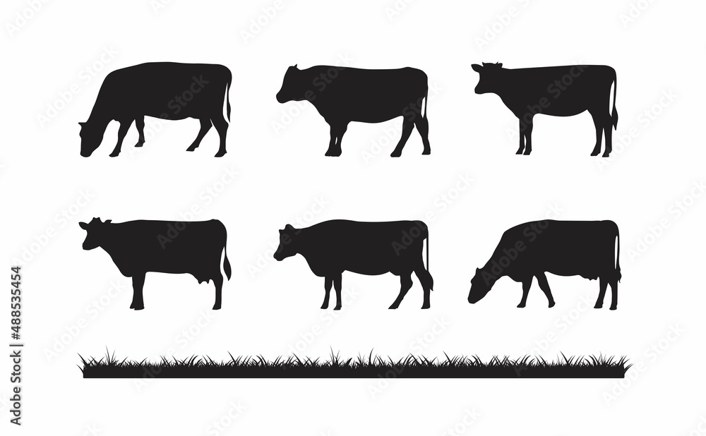 cow & grass silhouette isolated on white background, for livestock farm ...