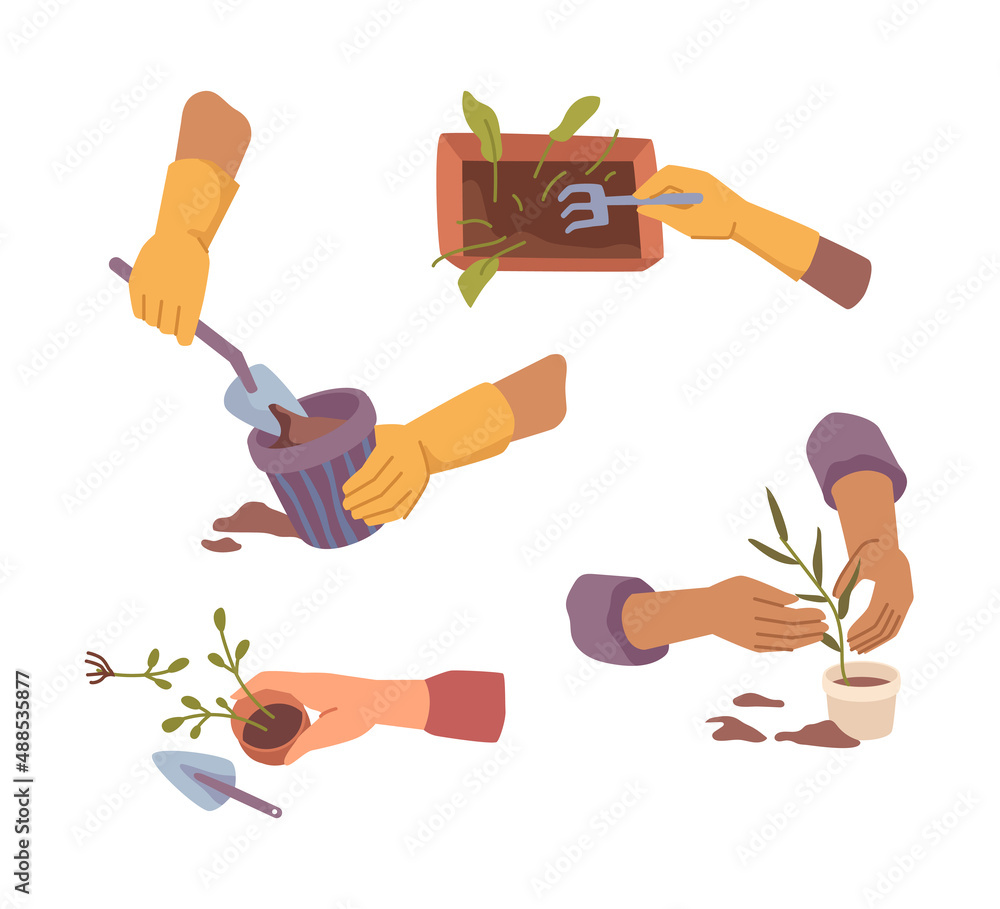 People growing houseplants using tools and planting instruments. Vector ...
