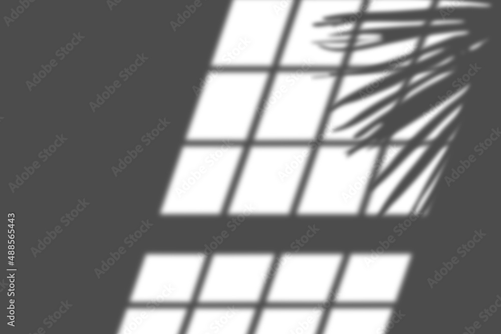 Shadow photo- overlay on white background. Product presentation ...