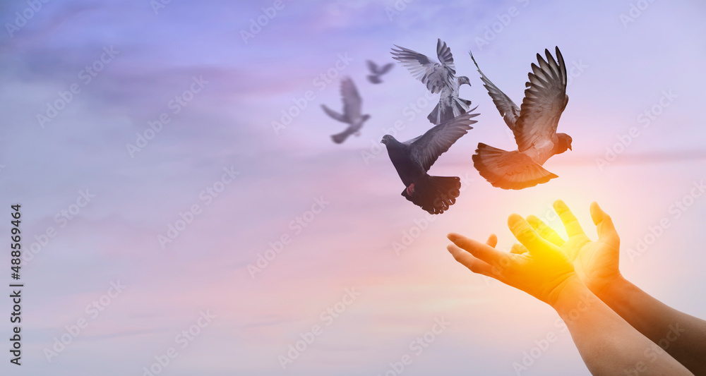 Man praying and free bird enjoying nature on sunset background Stock ...