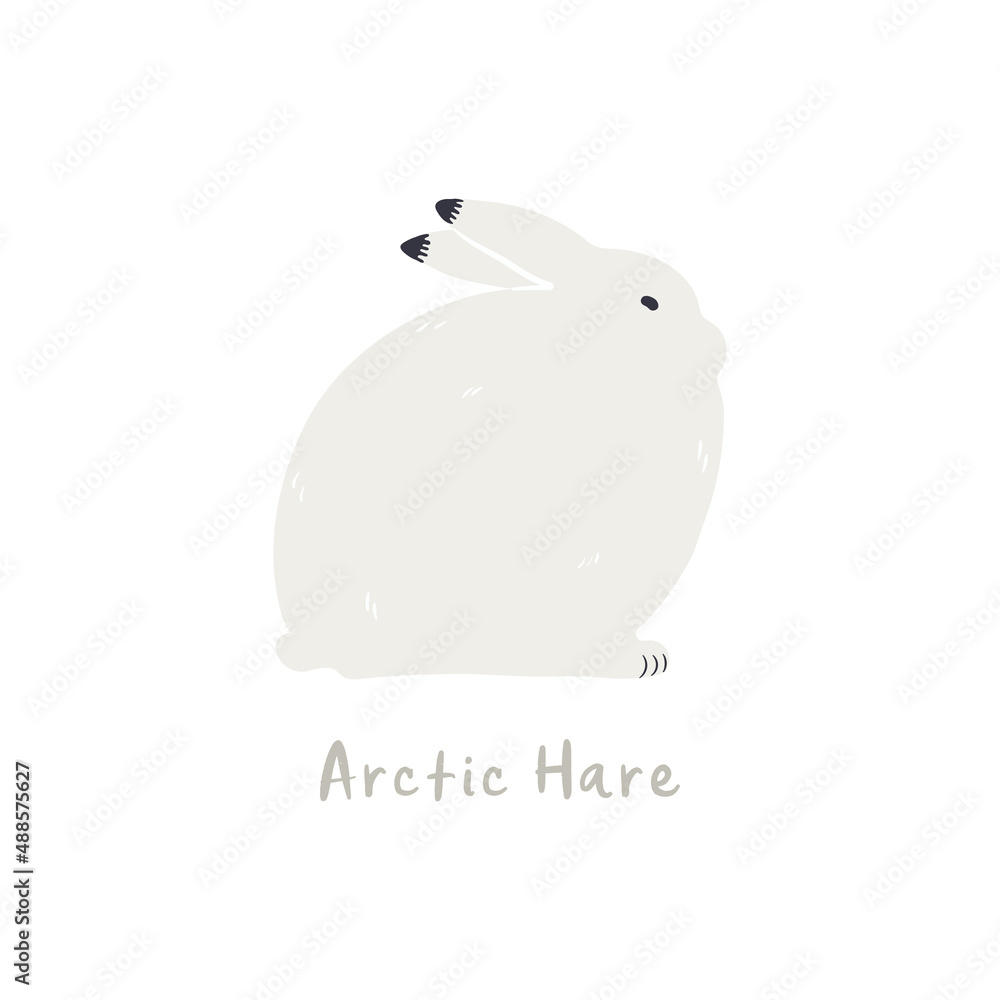 Cute cartoon arctic hare, isolated on white. Hand drawn vector ...