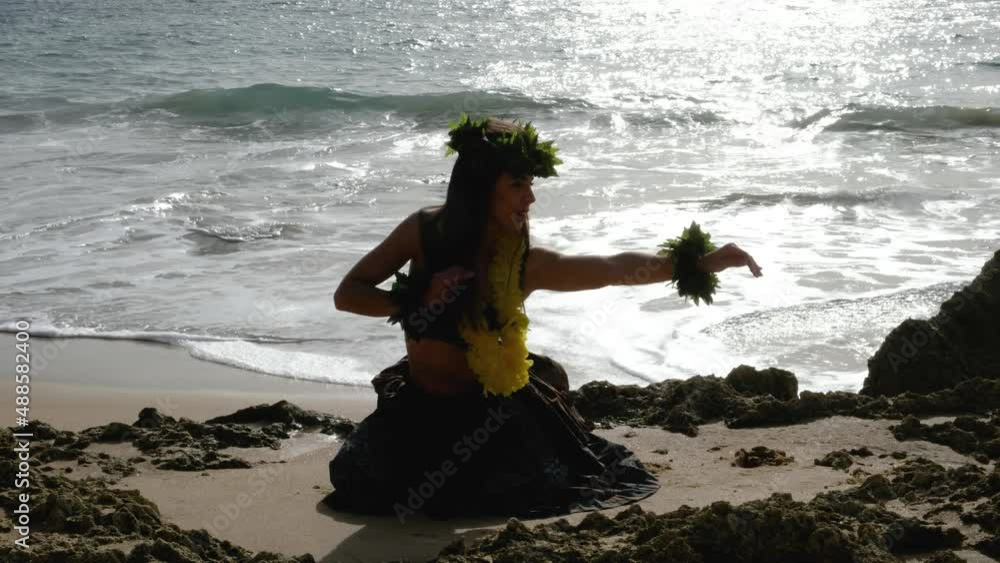 Hawaii dance. Hawaiian dancer. Hula dancer lady. Woman dancing ...