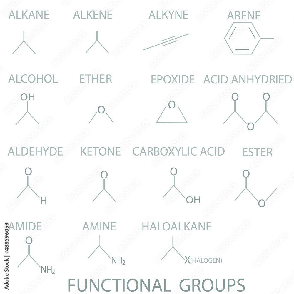 15 Functional groups molecular skeletal formula. Stock Vector | Adobe Stock