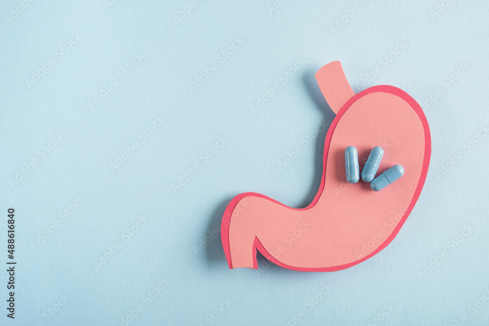 Stomach decorative model with pills on light blue background. Digestion ...