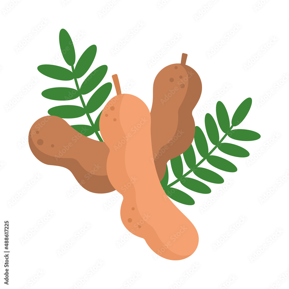 Tamarind whole fruits isolated on white background. Ripe brown ...