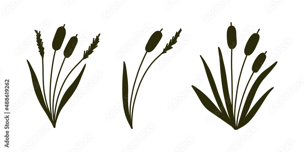 Reed Grass Silhouette. Black hand drawn Reeds Sketch. Vector set of isolated elements. Stock ...