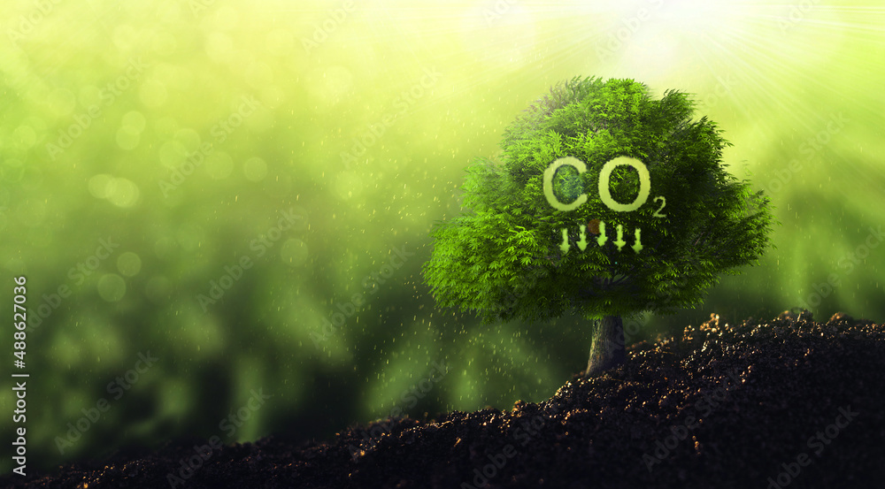 Foto de Reduce CO2 emission concept.Clean and friendly environment ...