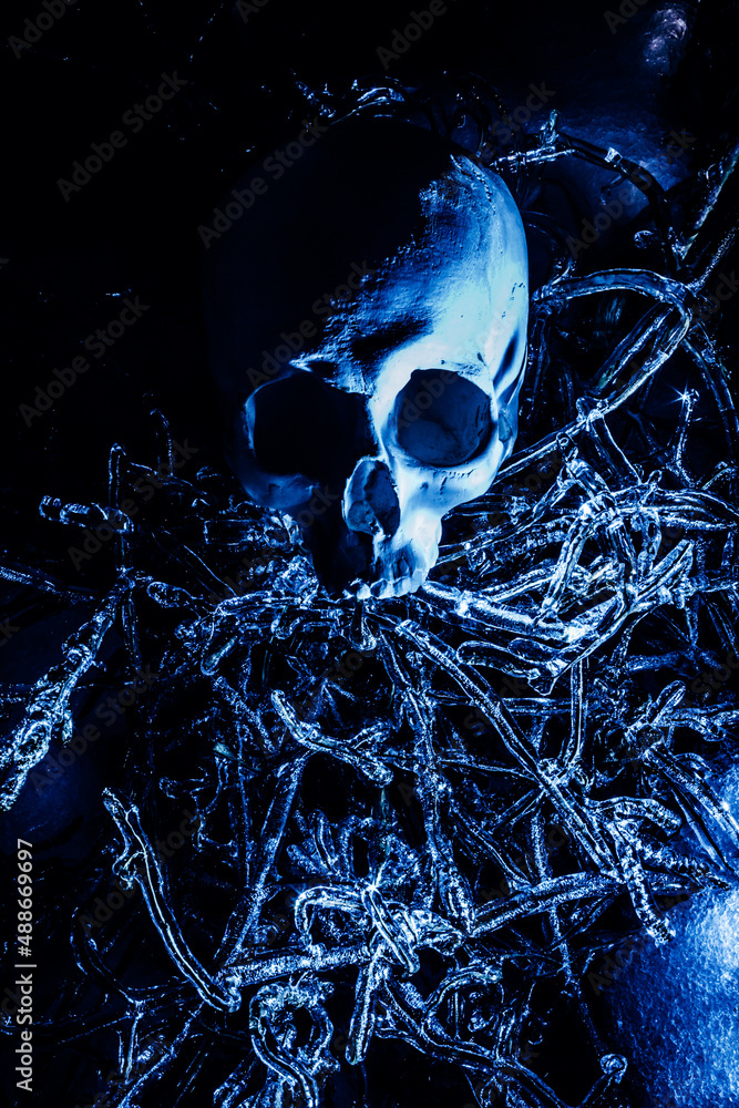 Vertical oriented horror scary photo of human skull laying on frozen ...