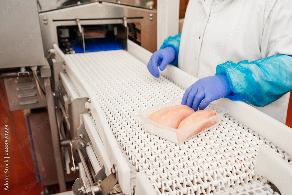 modern poultry processing plant.Meat processing in food industry ...