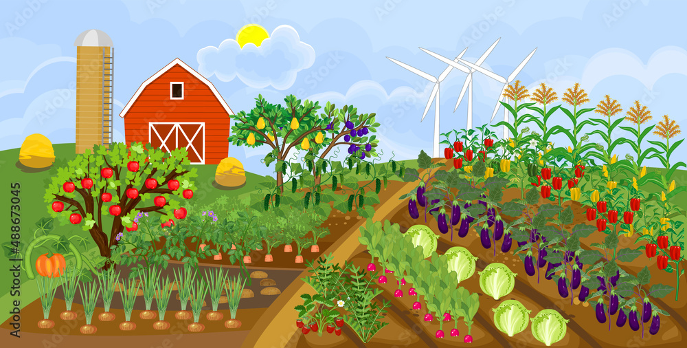 Agricultural landscape. Traditional cartoon farm with many agricultural ...