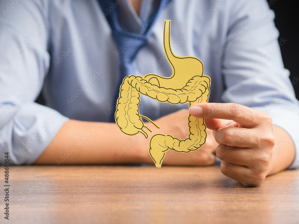 Hand holding a large intestine shape made from yellow paper Stock Photo ...