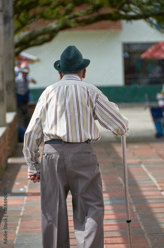 A back view of an elderly man walking on the pathway with a walking ...