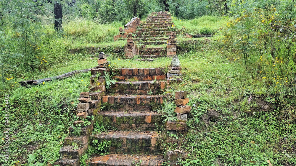 Old brick steps in the Newnes Industrial ruins overgrown in the ...