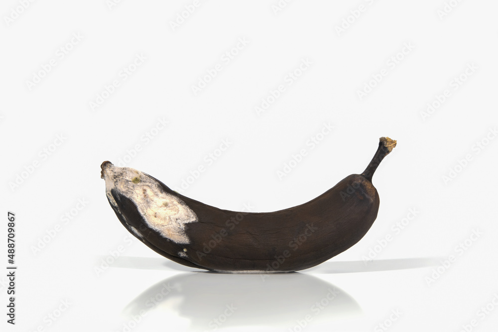 Spoiled banana on a white background with hard shadows and reflection ...