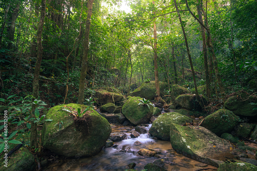 Scenic view of a cool refreshing waterfall hidden in a mysterious ...