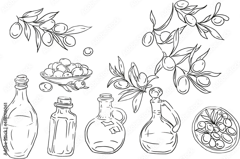 Olives oil bottles leaves twigs fruits food useful coloring book for ...