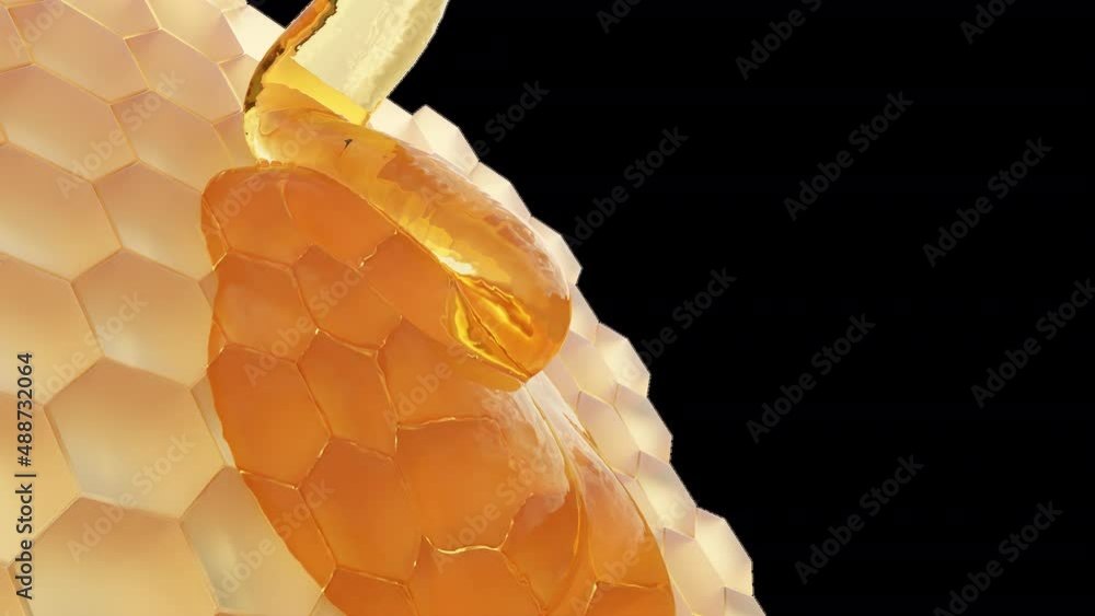 Transparent fresh honey flows down the honeycomb. Animation with alpha ...