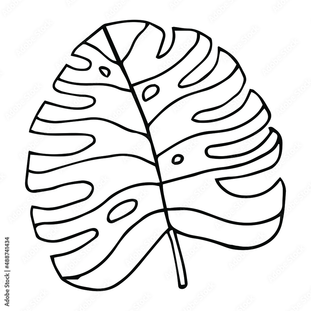 Tropical palm leave in sketch style, isolated vector illustration ...