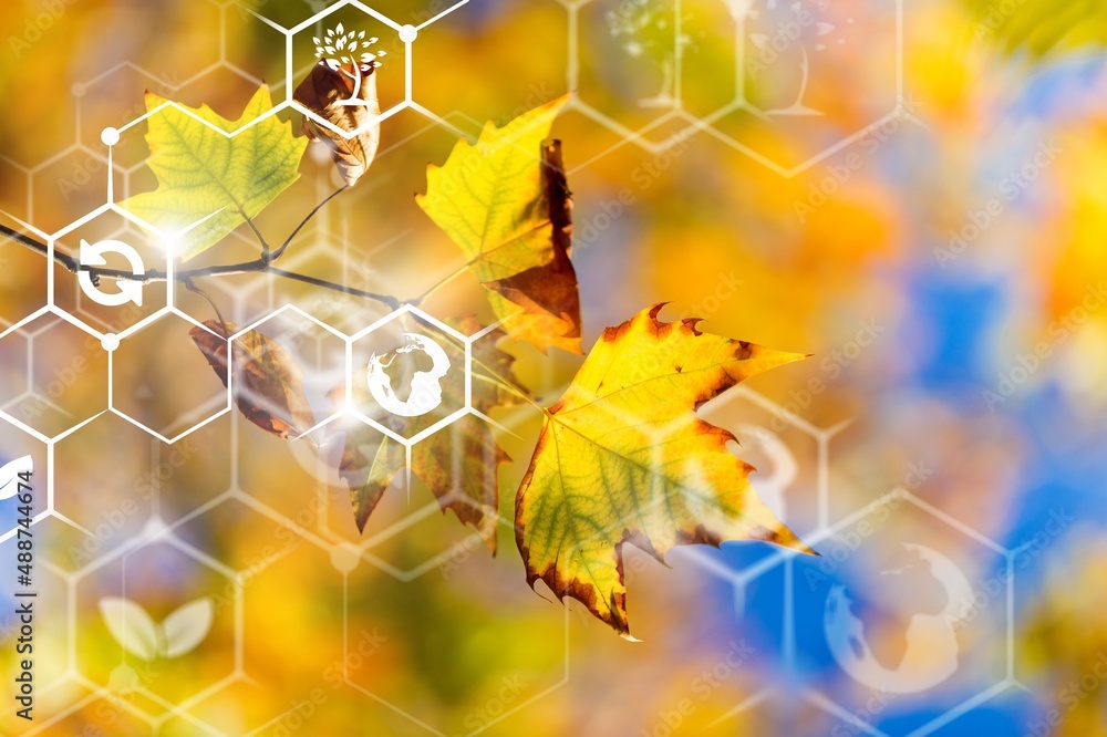 Plants green background with biochemistry structure. Stock Photo ...