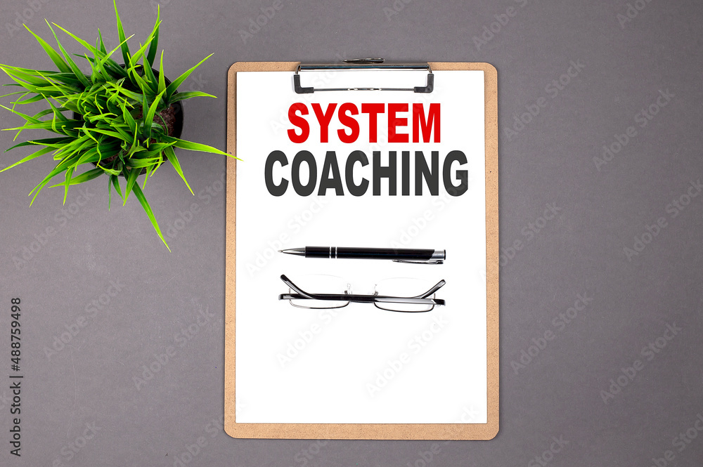 SYSTEM COACHING on the brown clipboard on the grey background. Business ...