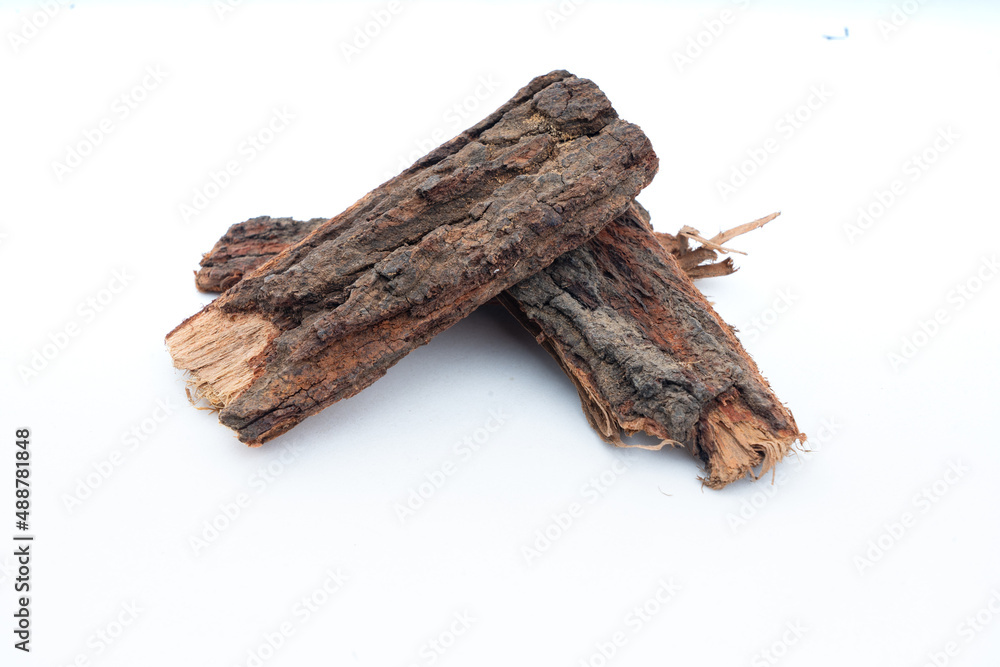 Babul Chaal - Kikar Ki Chaal - Acacia Bark over isolated white ...