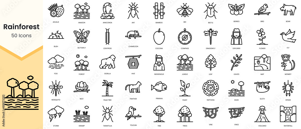 Simple Outline Set of rainforest icons. Linear style icons pack. Vector ...