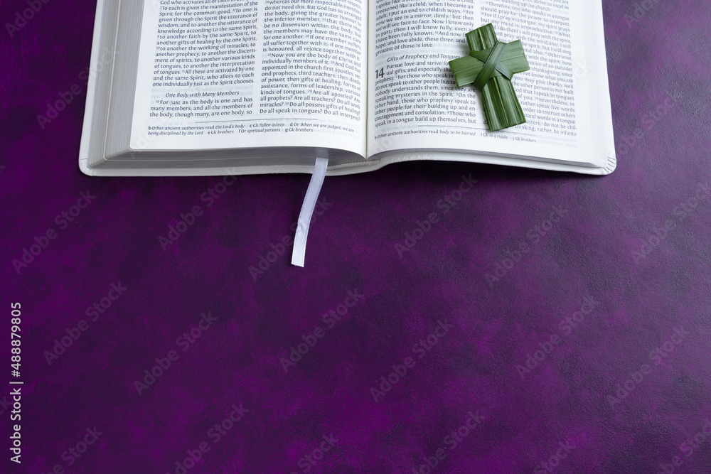 Open bible on a dark purple background with palm cross and copy space ...