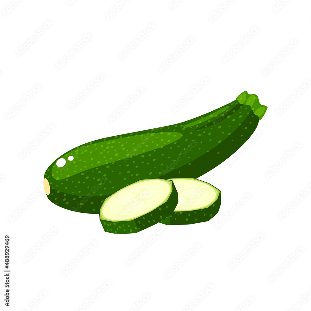 Green zucchini. Vector illustration isolated on white background. Stock ...